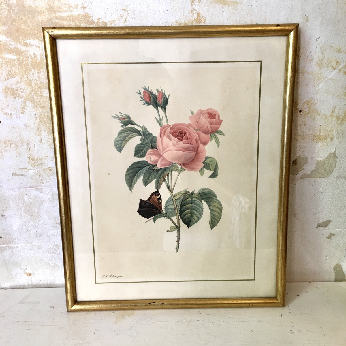 Illustration rose rose encadrement doré – Brocante La Vitrine